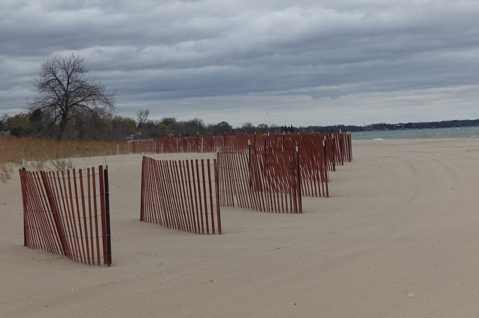 Great Lakes Beach Resilience Guide – Wisconsin Coastal Resilience
