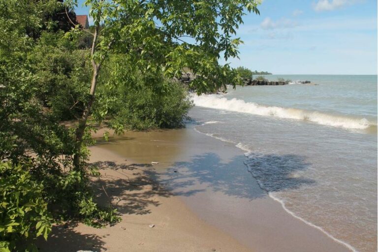 Southeast Wisconsin Coastal Resilience Project Grant Recipients – Wisconsin Coastal Resilience