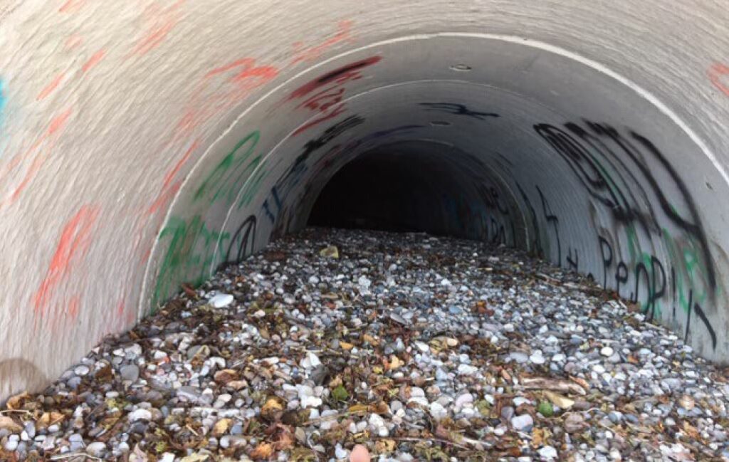 Funding the Fox Point Beach Drive Coastal Resiliency Project ...